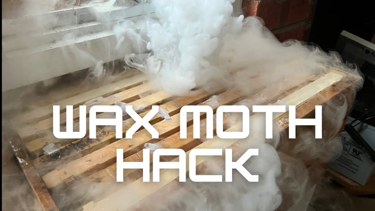 Treating Wax Moth With Dry Ice - Good or Bad Idea? - Aussie Bee Keeping - 20-5-22