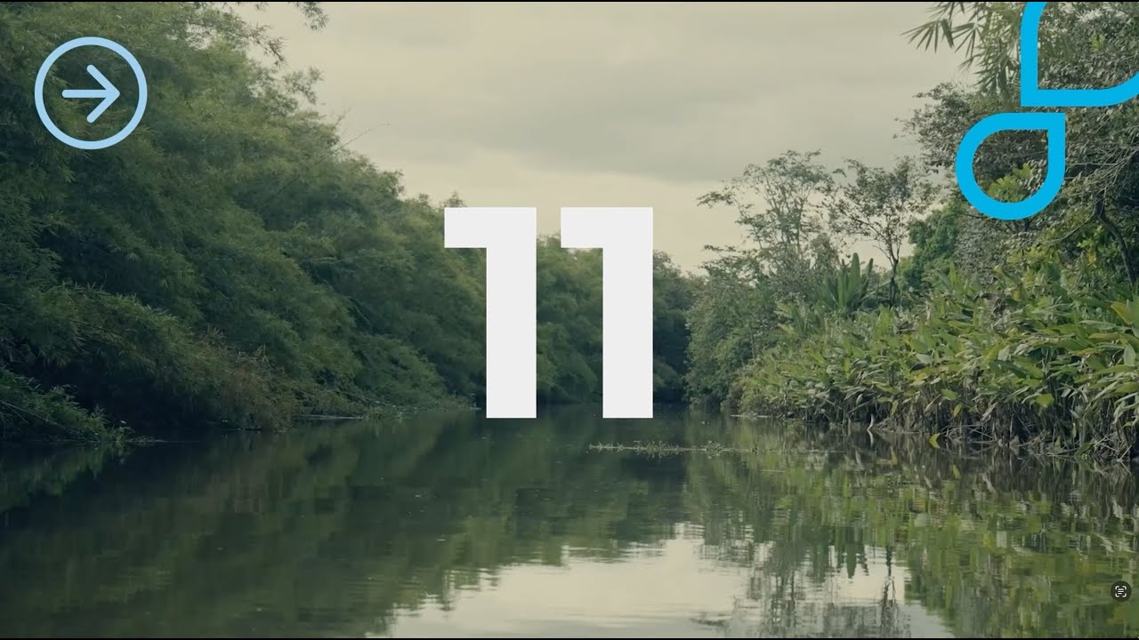 Introducing IDBImpact+ 11