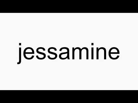 How to pronounce jessamine