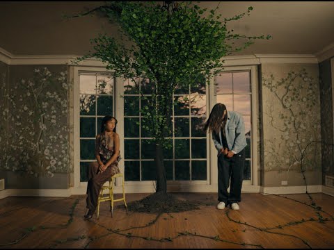 mynameisntjmack - argue typing [Official Video]