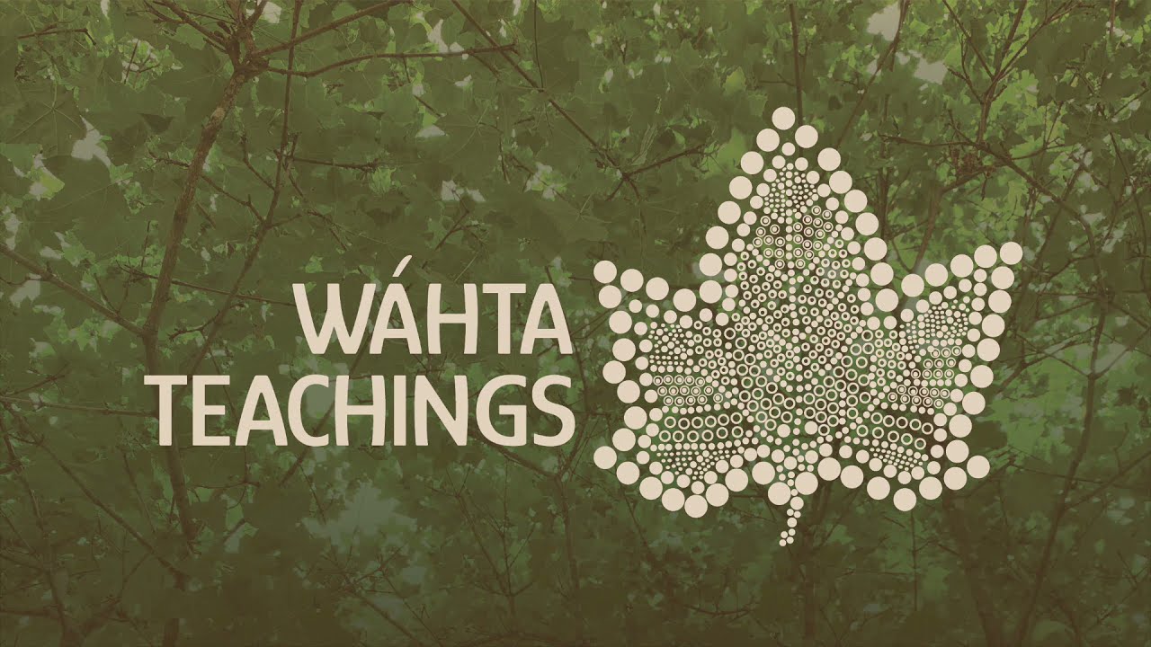 Wahta Story 1