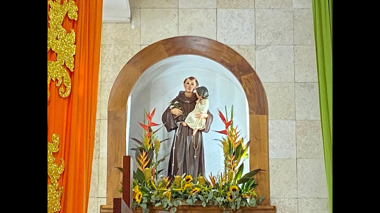 Fiestas Patronales San Antonio de Padua 2025 | Barra de Navidad