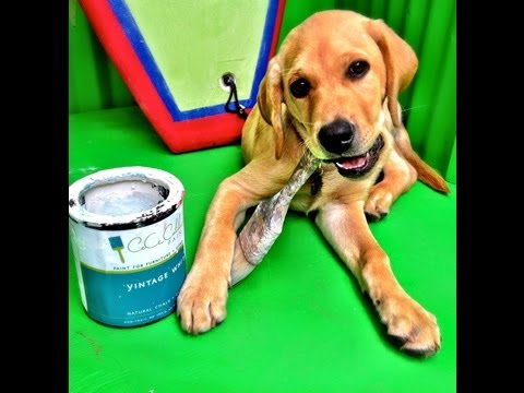 DIY paint a chalkboard, recycle a surfboard with CeCe Caldwell chalk and clay paint