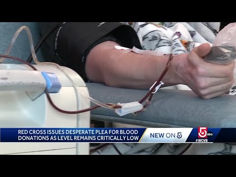 Red Cross makes desperate plea for blood donations