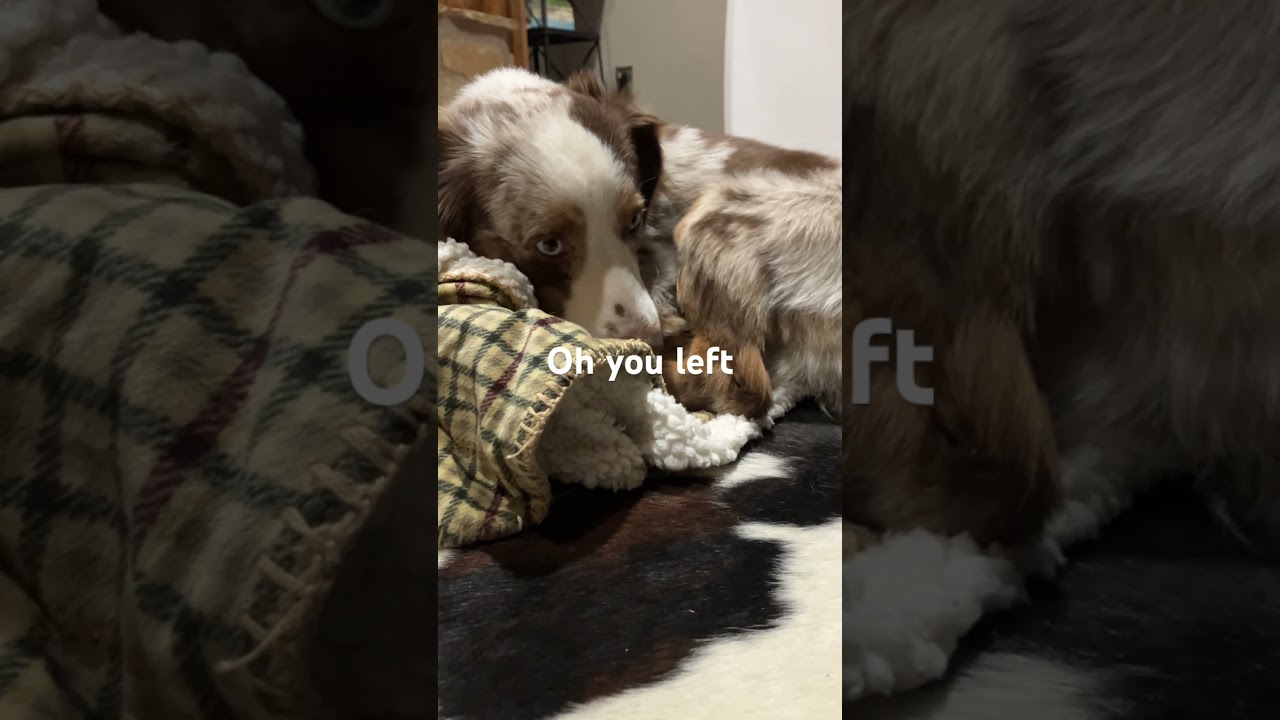 If you scroll you may never see me again😭