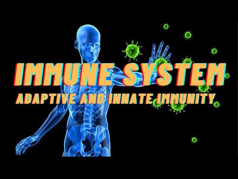 immunology; immune system - adaptive and innate immunity