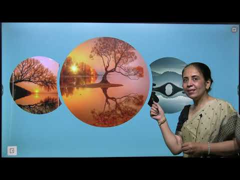 Chapter 3 Mirror and Water Images | Aptitude and Reasoning Class 5