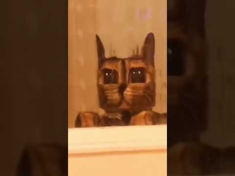 Steam Community :: Video :: momazos juan