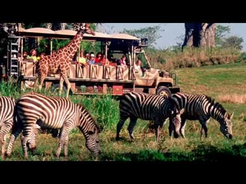 Disney’s Animal Kingdom: Revenge of the Disco Yeti – Mouse Around the World