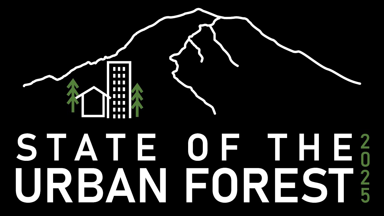 State of the Urban Forest 2025