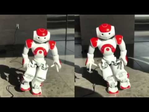 GitHub - suryakiranmg/Team-Project-in-Robotics--Balance-Step-Walk-tasks ...