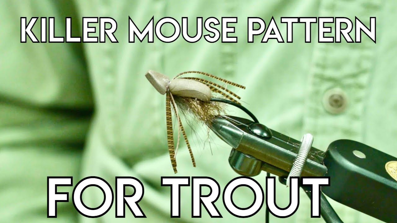 KILLER HANTAVIRUS MOUSE PATTERN