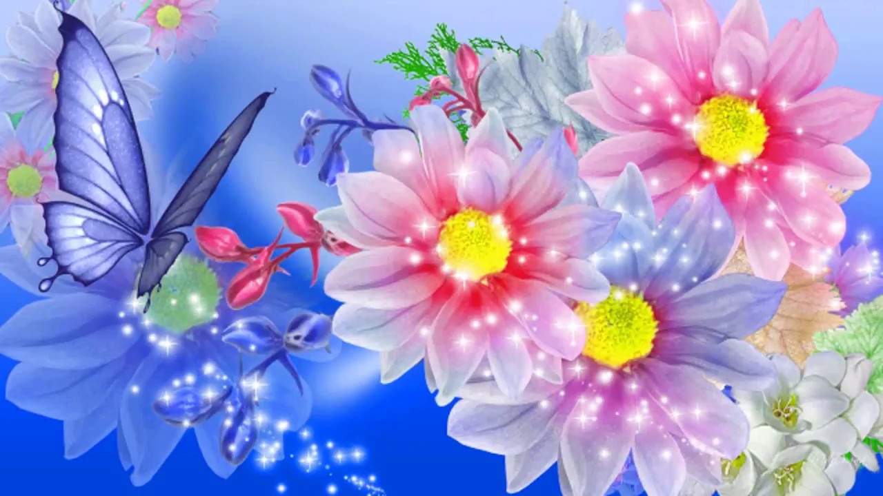 Full HD 1080p Nature Wallpapers, Desktop Backgrounds HD, Pictures