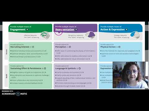 UDL Guidelines : How to navigate