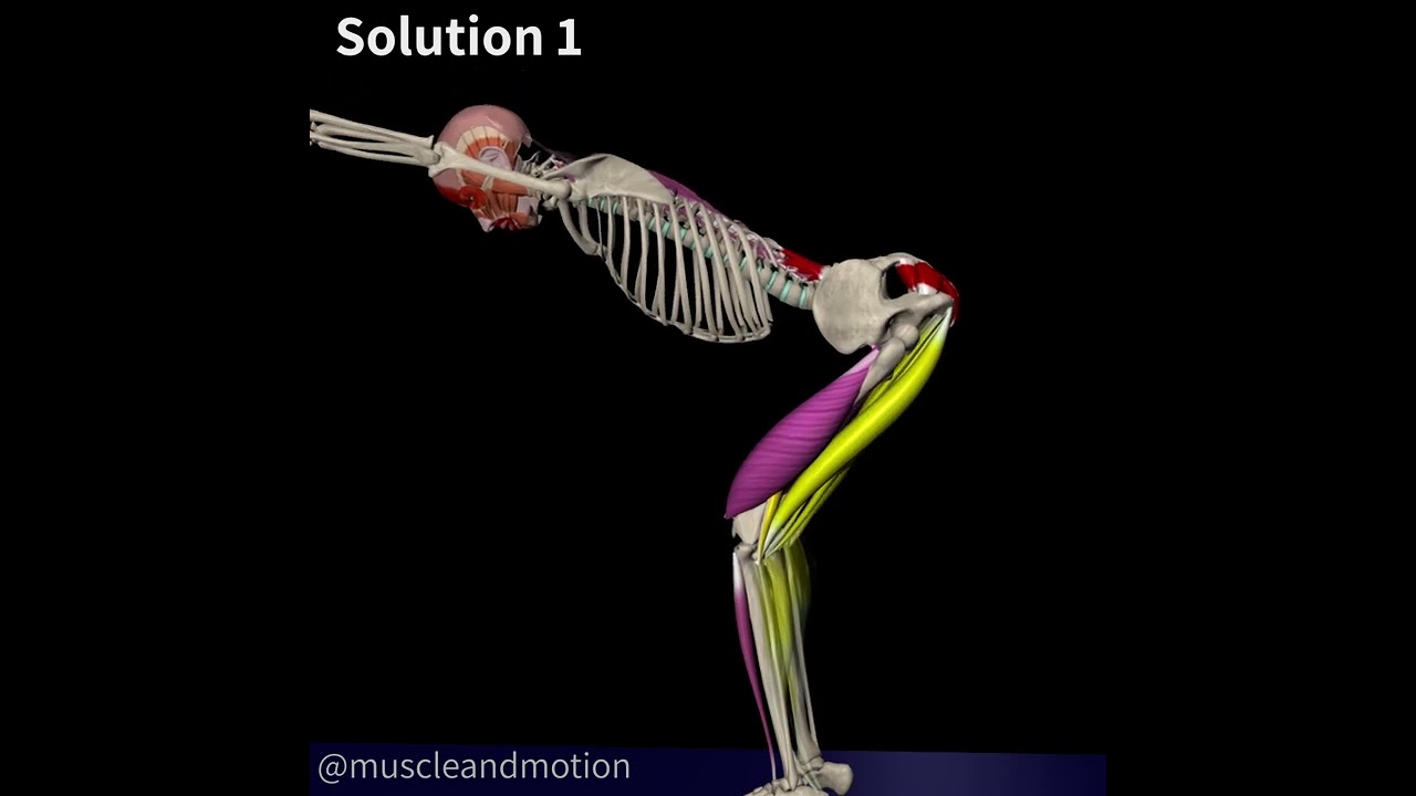 HALF STANDING FORWARD BEND (Ardha Uttanasana) ☯️