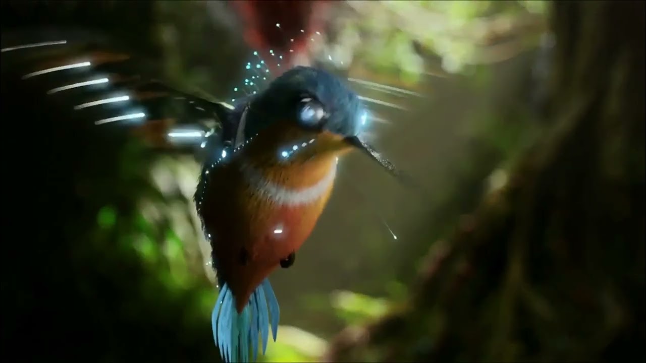 Magical Hummingbird Live Wallpaper