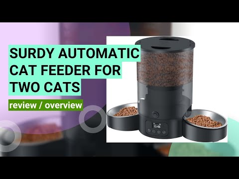 Review of the SURDY Automatic Cat Feeder for Two Cats: A Game-Changer for Pet Owners!