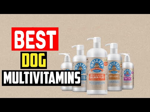 ✅Top 5 Best Dog Multivitamins in 2024