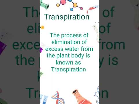 What is Transpiration | Transpiration process | Transpiration Defination | Transpiration in science