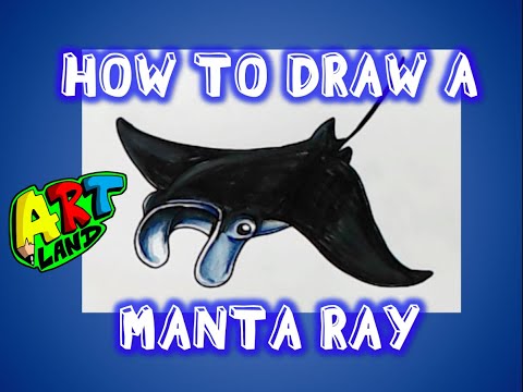 How to Draw a Manta Ray Step by Step – I'm Youtuber – Follow my videos ...
