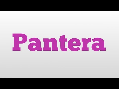 Pantera meaning and pronunciation