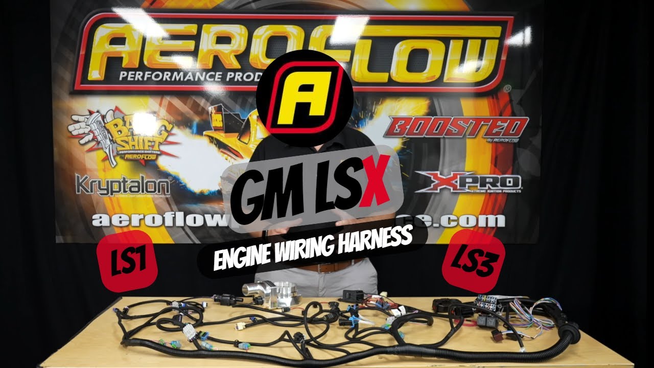 GM LS replacement Engine Harness