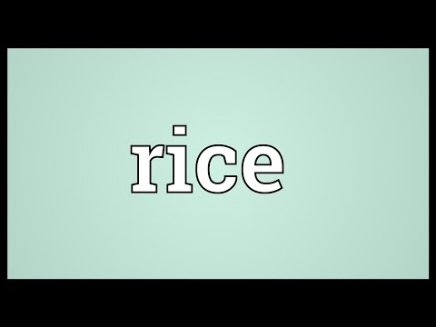 Rice Meaning