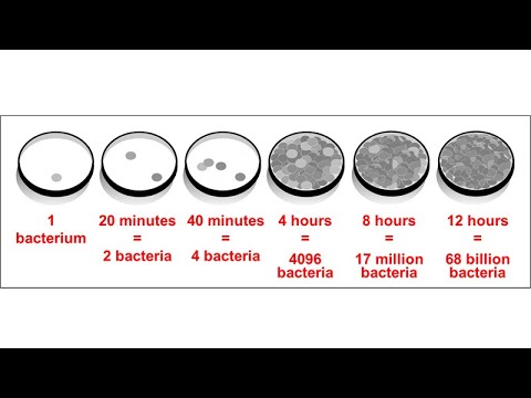 FAT-TOM | Money, Health, and Other Things