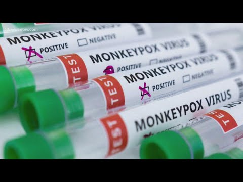 White House builds team to respond to US monkeypox outbreak