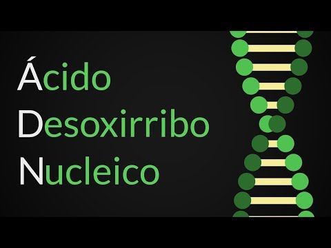 ¿Qué es el ADN? ¿Cuál es su estructura y composición? | Hidden Nature