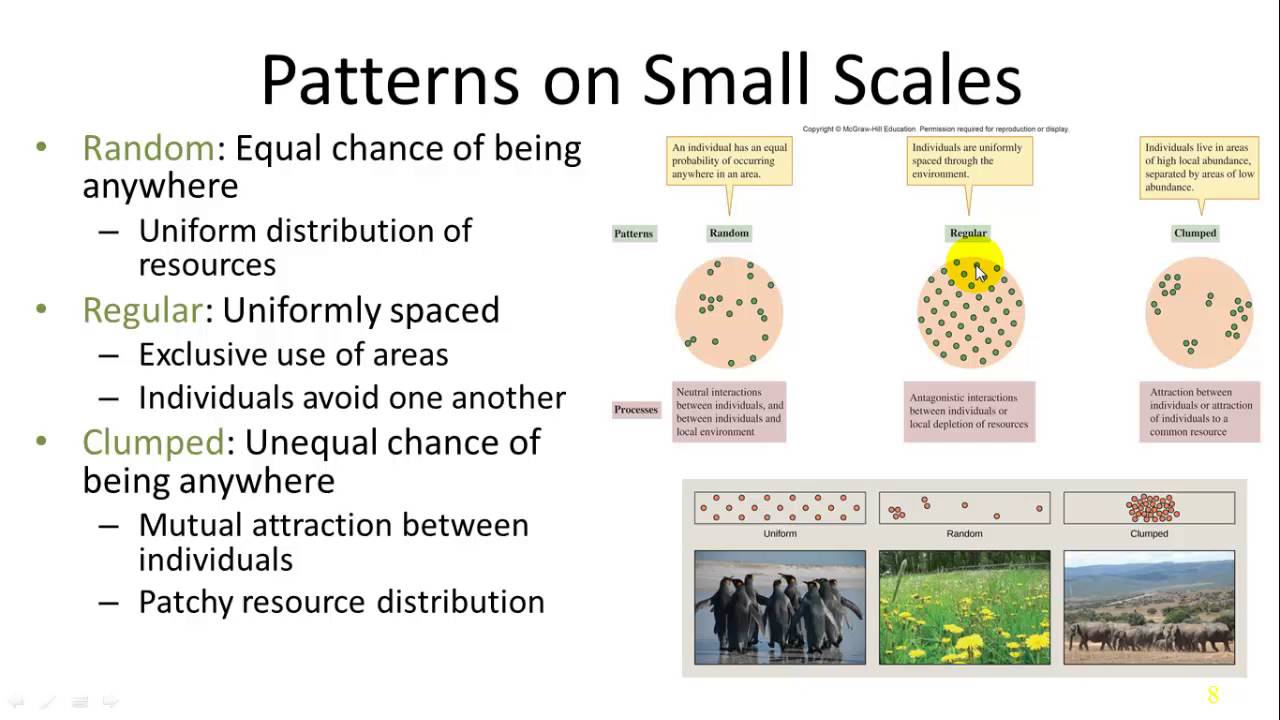 Population: Abundance and Distribution