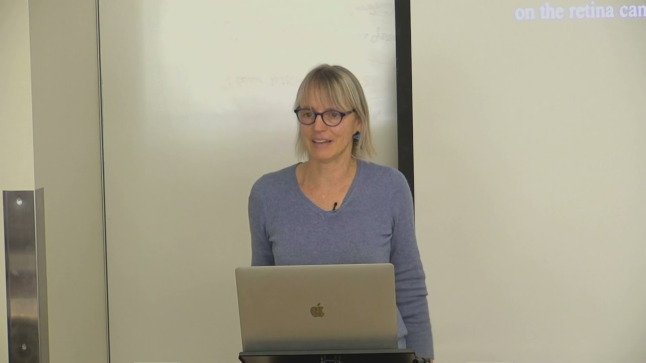 24. Attention and Awareness