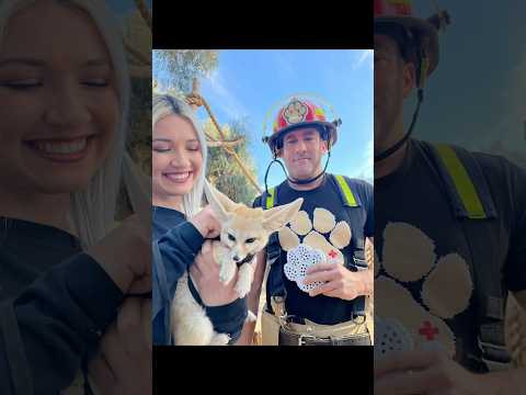 Behind the scenes with Rescue Retriever @WildlifeworldzooAZ PART 1