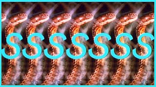 Sssssss streaming: where to watch movie online?
