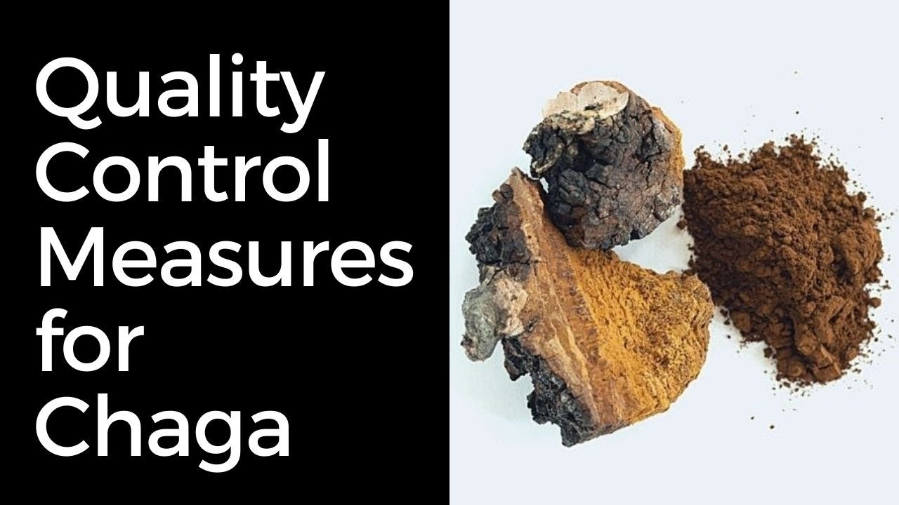 Chaga Quality Control: Testing & Analytical Fingerprinting Measures