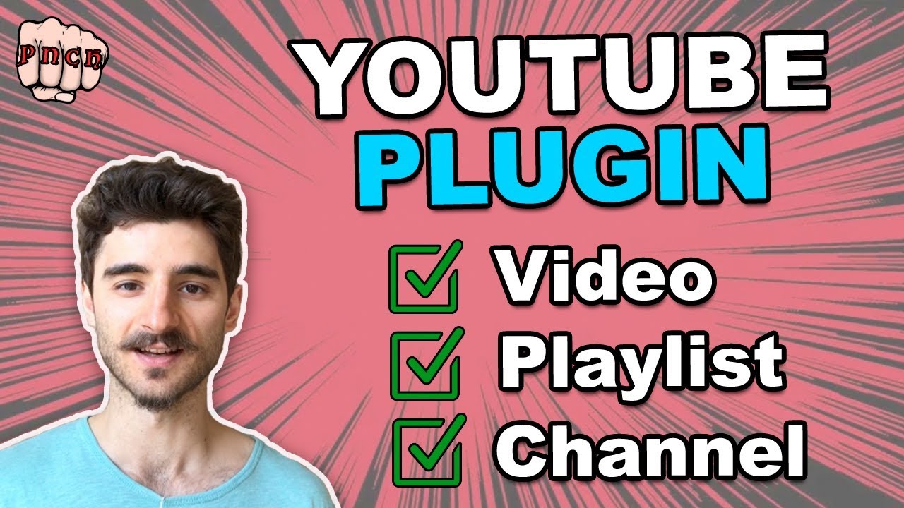 Useful Wordpress YouTube Plugin