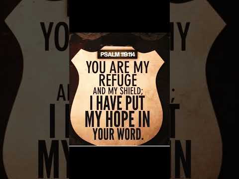 Our Shelter and Shield: Finding Refuge in God's Word