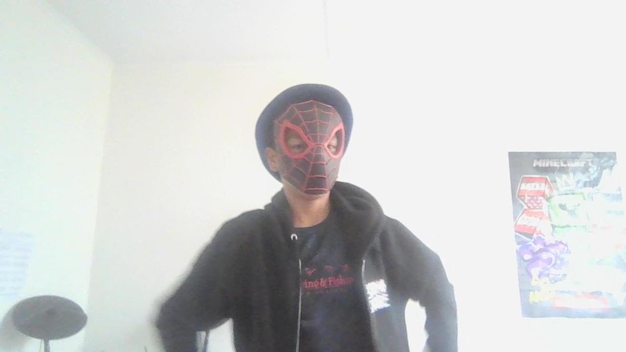 Just got the Technoblade Hoodie!