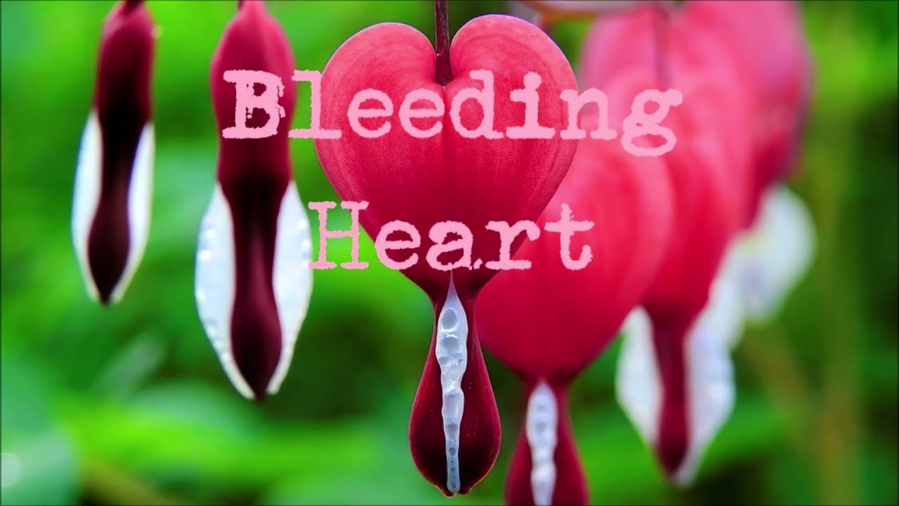 Poem - Bleeding Heart (Audio)