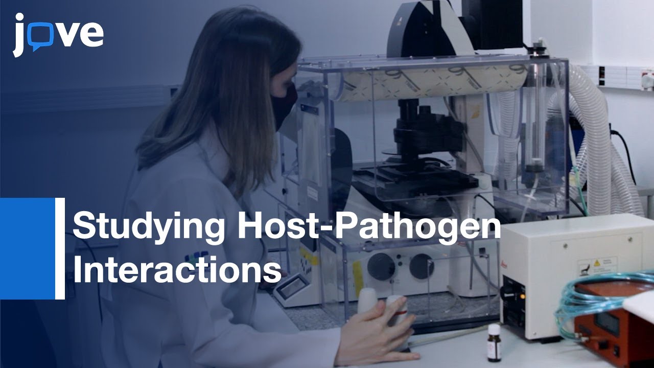 Double Labeling Immunofluorescence-Antibodies From Same Species | Protocol Preview