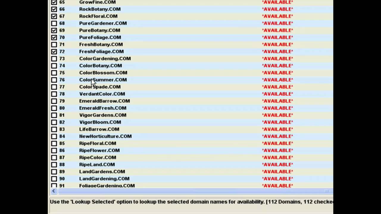Create a great domain name: Step 4 of 6