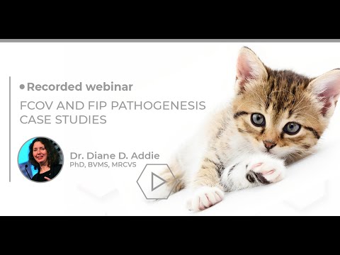 EN Biogal Academy - FCoV and FIP Pathogenesis Case Studies - Dr Diane Addie