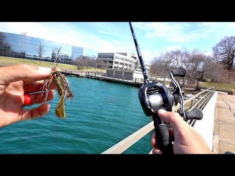 Bank Fishing NEW Urban Ponds!! (KICKED OUT)