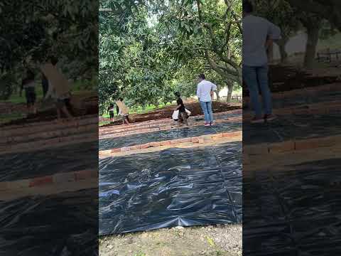 Vermicompost - Organic Compost Fertilizer Latest Price, Manufacturers ...