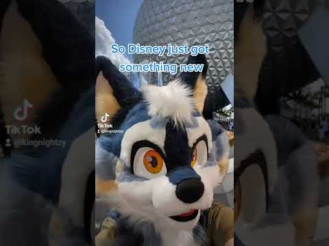 Does Disney Have a Fursuit Now? (Furry Fandom)