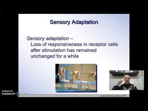 4.3--Sensory adaptation, habituation, signal detection theory
