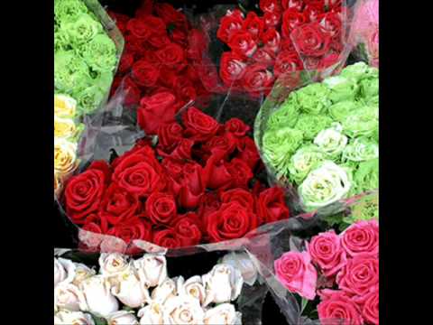 C.W. McCall - Roses for Mama (1978 Music Video) | #63 Country Song