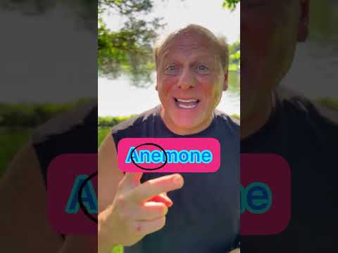 How do you say Anemone?