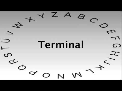 SAT Vocabulary Words and Definitions — Terminal