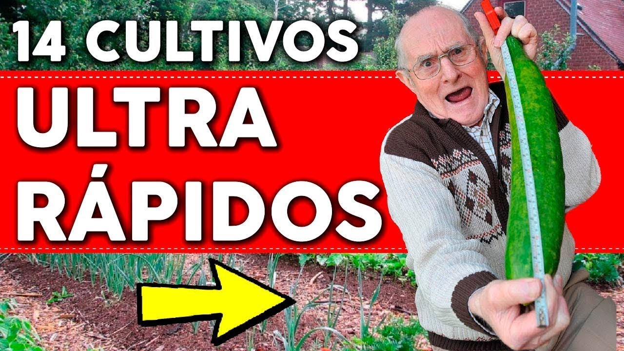 14 PLANTS you can HARVEST in less than 90 days and ONE that will surprise you